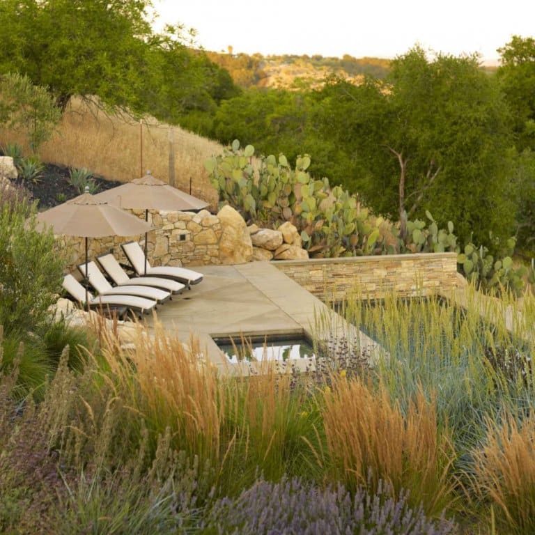 25 Colorful Foliage Ideas (Foliage Plants List + Foliage Garden)