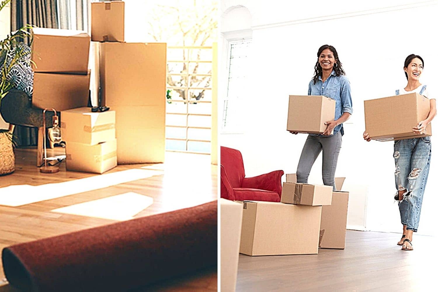 Best Tips for Moving Anxiety In 2024