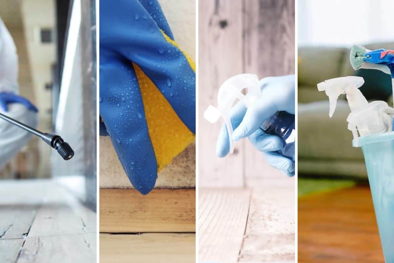 Crawl Space Cleaning (Complete Guide)