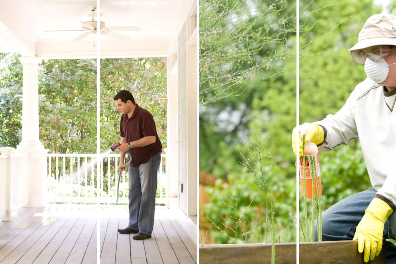 S.O.S. Pest Attack: 7 Emergency Solutions for a Creepy Crisis - Home Decor