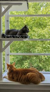23 Creative Cat Room Ideas for Happy Felines - Home Decor
